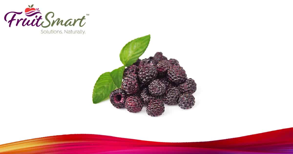 Black Raspberry - FruitSmart